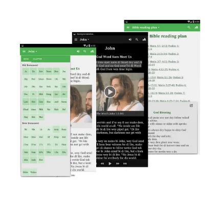 Bible Brain - Faith Comes By Hearing